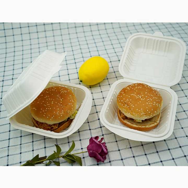 Biodegradable 6 Inch Burger Box - Eco Friendly Packaging