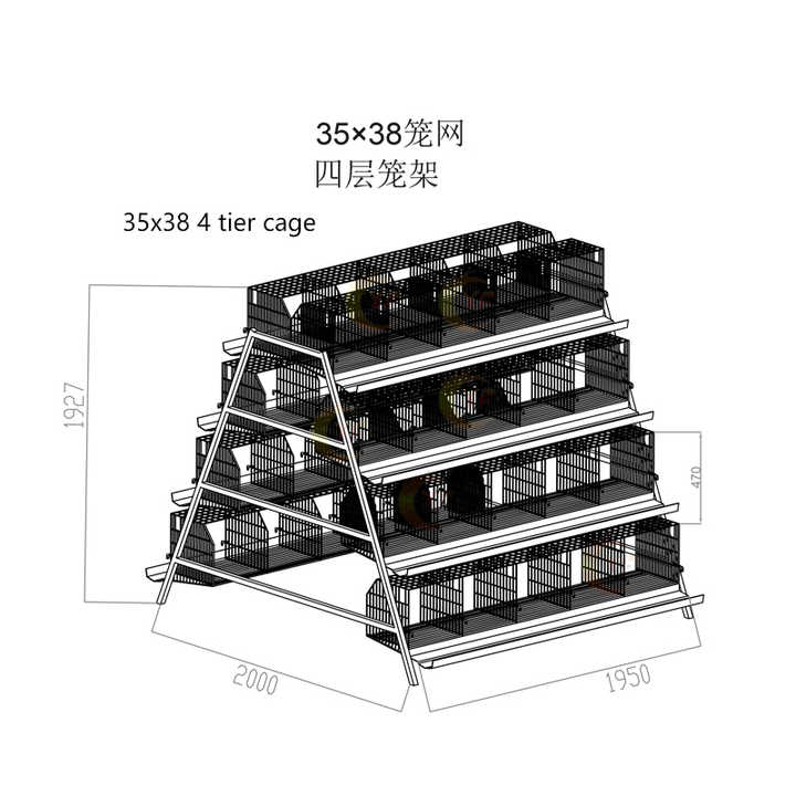 Poultry Farming - Layer Chicken Cages for 5000 Birds