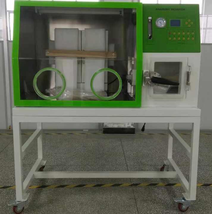 Commercial Bacteria Cultivation - Drawell Lab Incubator
