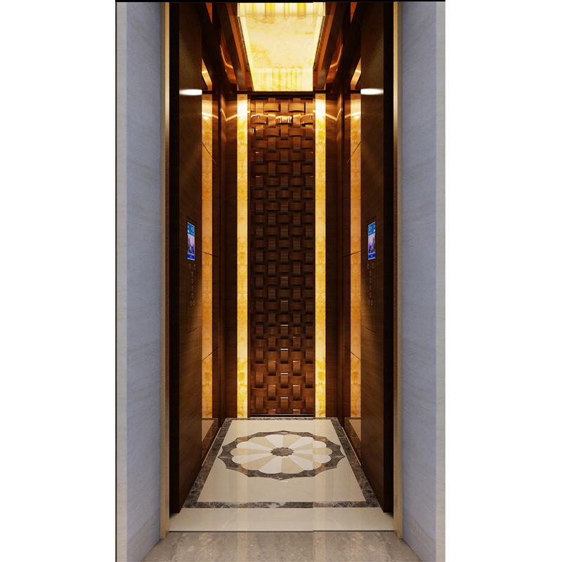 Mini Hydraulic Elevators - Quiet, Efficient Home Lifts