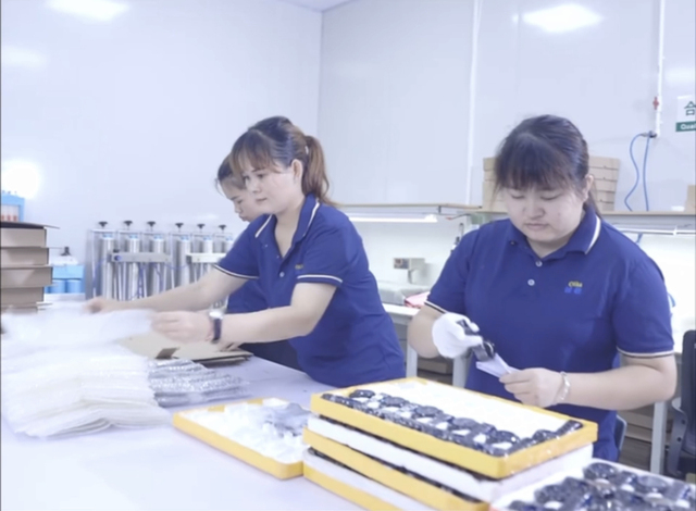 Definitive Guide to Identifying Authentic Invicta Watches | Watch Experts