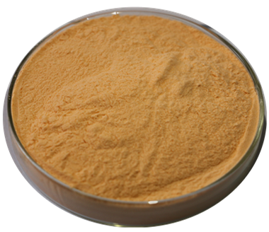 Lycium Barbarum Polysaccharides Wolfberry Extract Goji Berry Extract ...