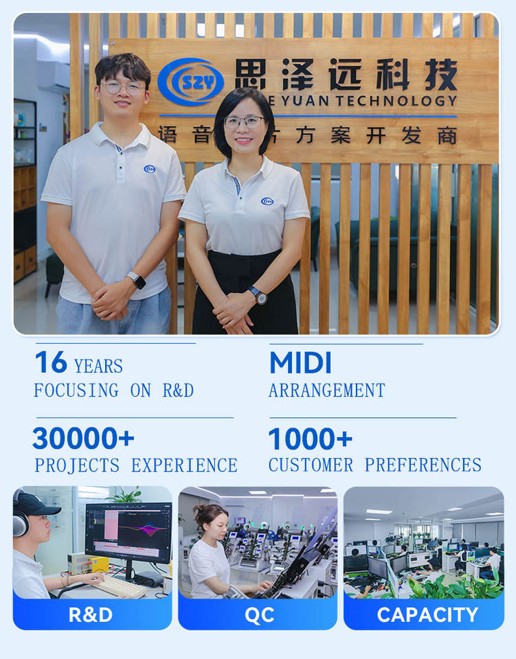 SZY Christmas Music Box OTP Speech Chip with Witch Voice and Terrifying ...