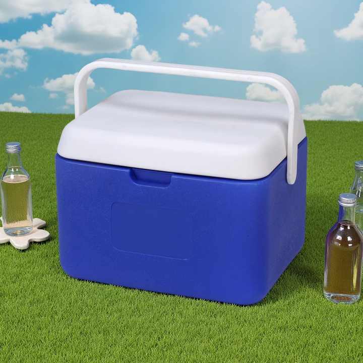 5 Liter Cooler Box for Day Trips and Errands for Storing and ...