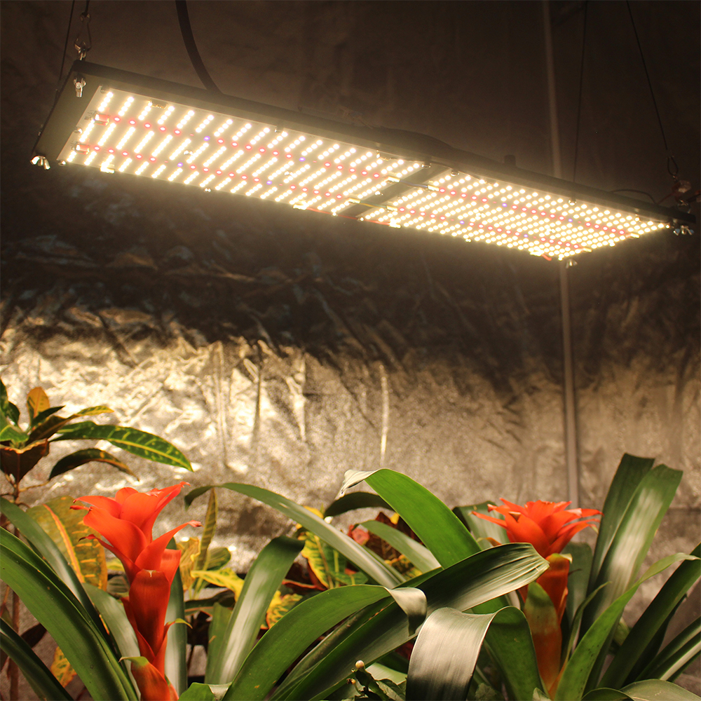 Stock In Brazil! 0 Shipping 0 Tax! Figolite 240w Led Grow Light Full ...