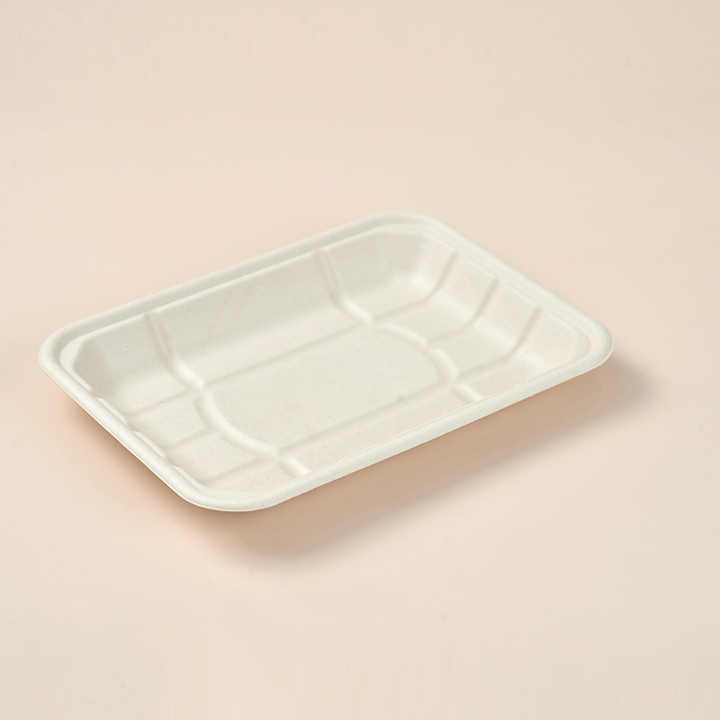 Eco-Friendly Disposable Rectangle Tray Biodegradable Sugarcane Pulp ...
