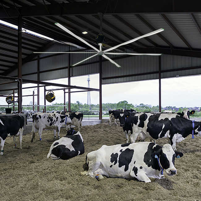 Xiucheng Industrial HVLS High Efficiency 220V Ceiling Fans PMSM Motor ...