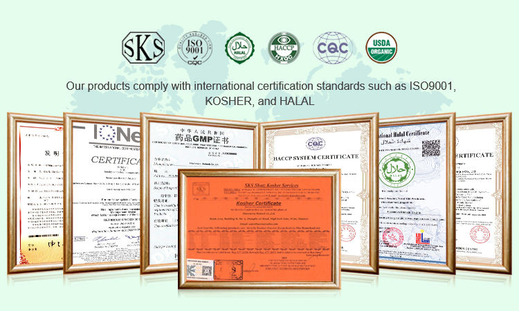 How to Choose the Best Taif Rose: A Complete Buying Guide