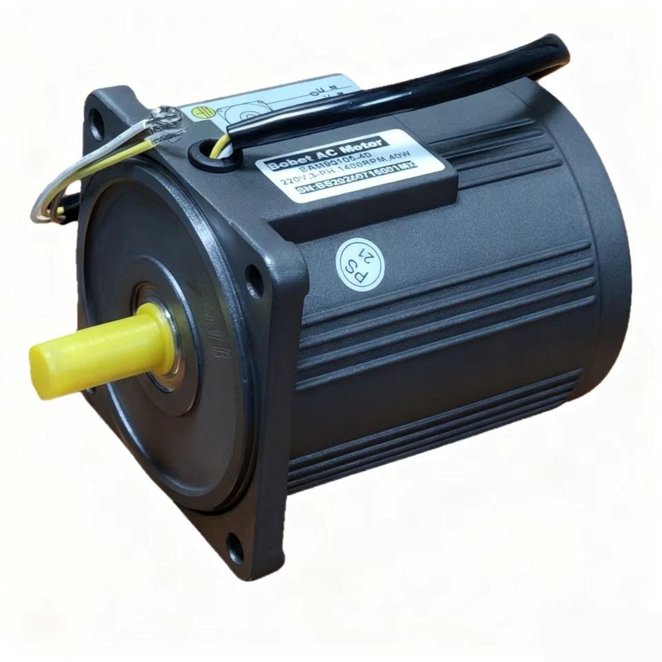 Stable 180W Single Phase 110V Asynchronous Flange Mount AC Motor 3-Year ...