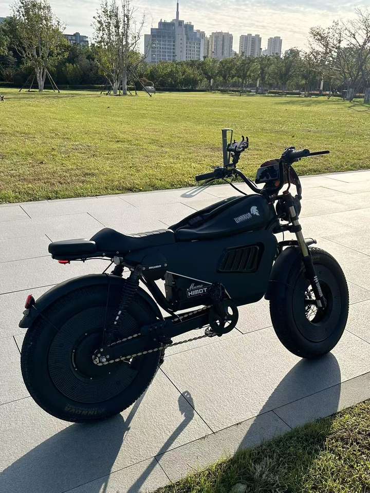 Himoto 2025 Customizable Electric Hybrid Bicycle with 1500W 30AH 60AH ...