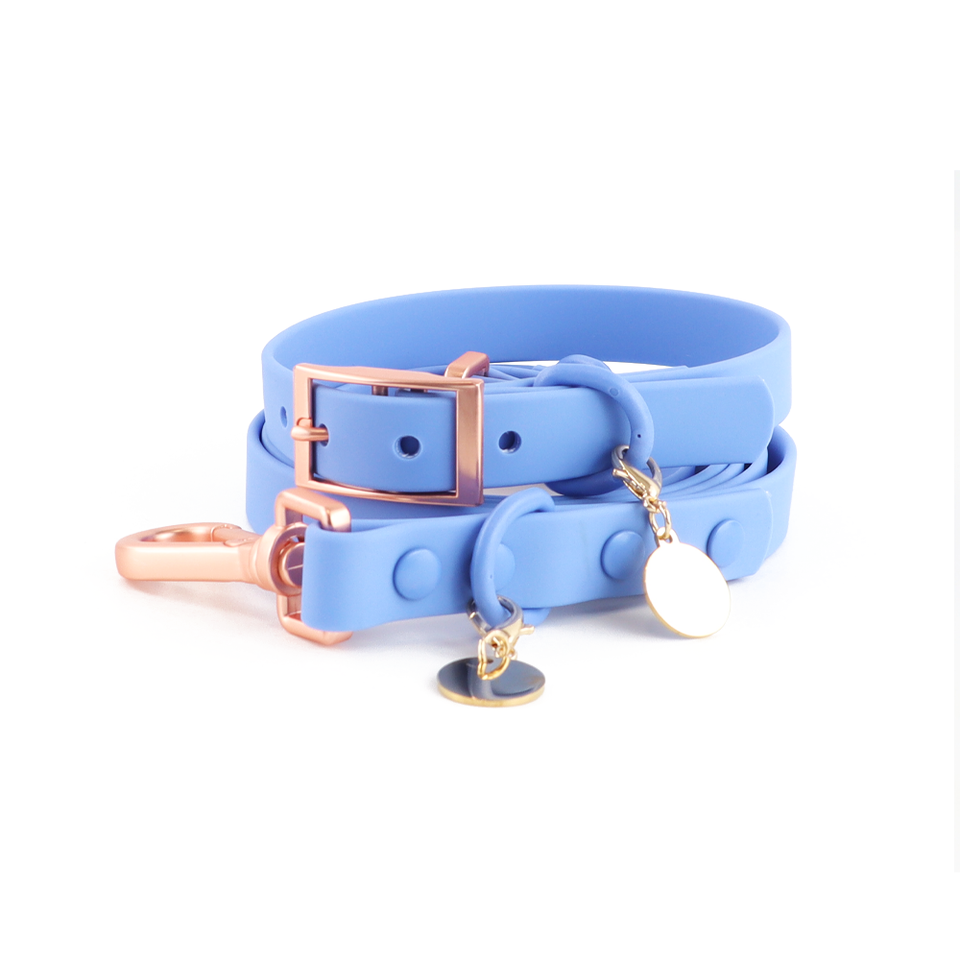 Personalized Designer Waterproof PVC Dog Collar & Leash Set with Quick ...