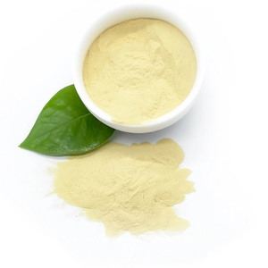 The Healing Power of Lycopodium Powder for Your Health - Alibaba.com