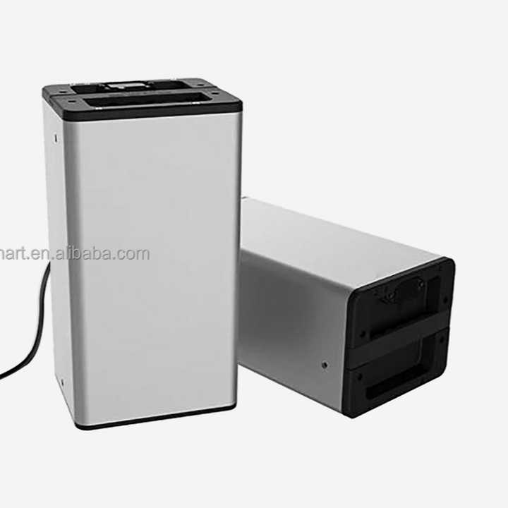 Elyx Scooter Zebra Ebike Moped Electric Scooter Battery