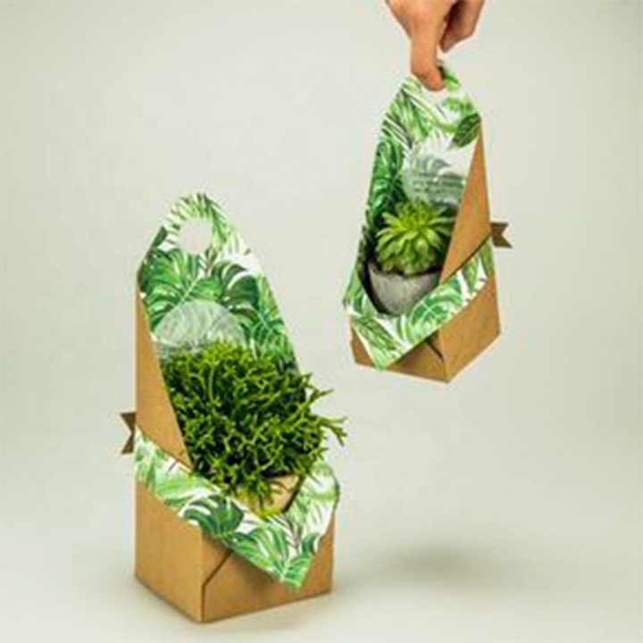 Custom Corrugated Cardboard Potted Indoor Plant Shipping Box
