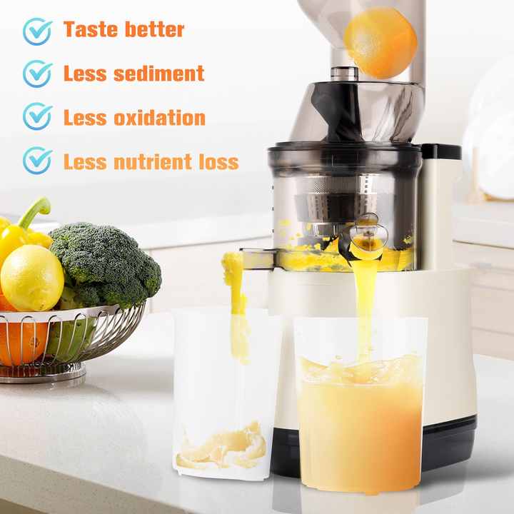 China Factory Masticating Machines Fruits & Vegetables Easy Clean Self ...