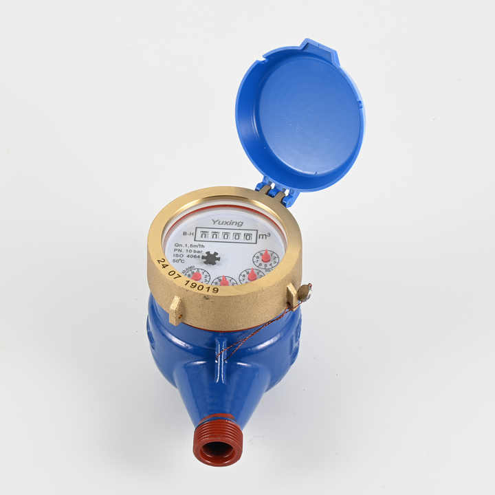 LXSG 15E-50E Multi Jet Iron Body Water Meter - Accurate & Durable