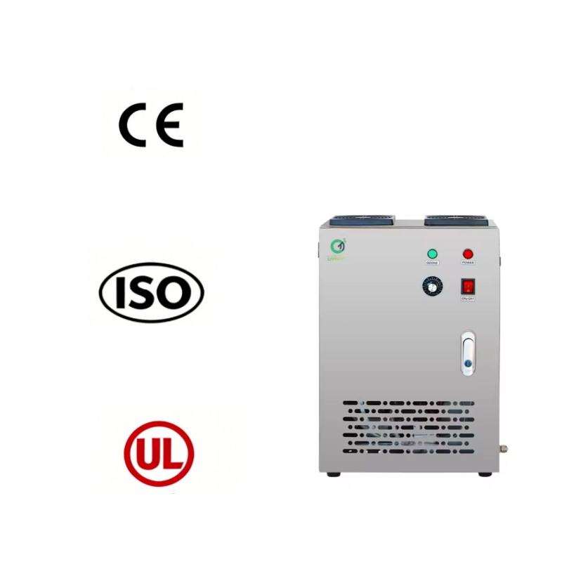 LONGFA 35-Year Ozone Supplier 5g/hr Ozone Generator for Koi Pond ...