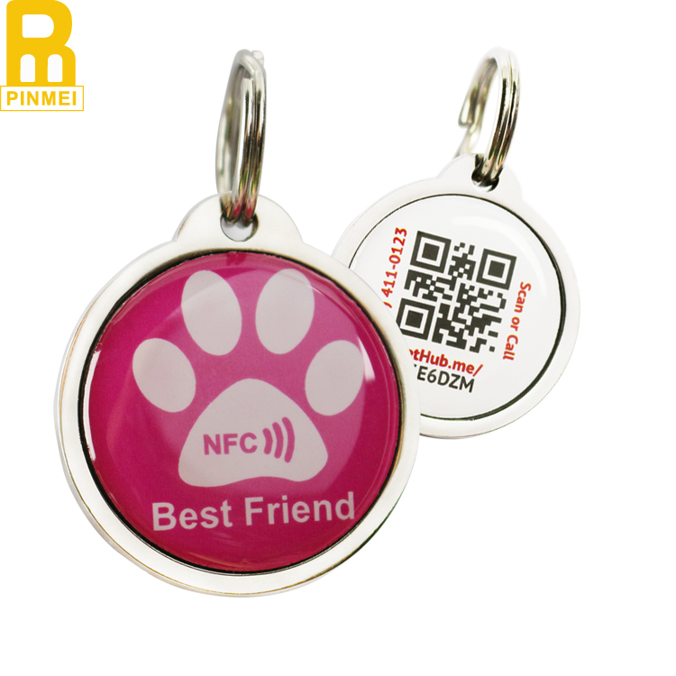 How to Choose the Best QR Code Dog Collar for Your Pet