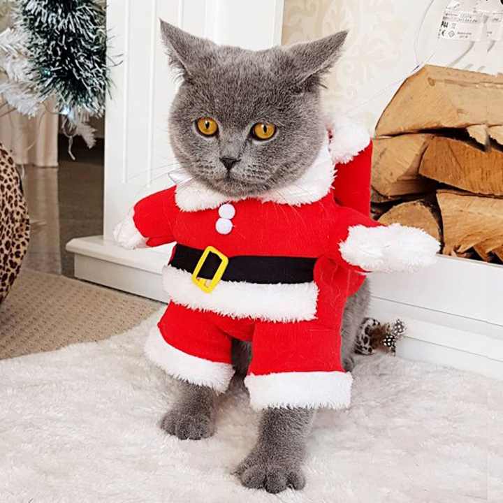 Luxury Santa Claus Dog & Cat Christmas Outfit Hoodie ODM | Wholesale