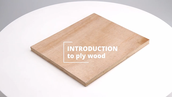 Eucalyptus Plywood - Durable, Eco-Friendly, and Versatile