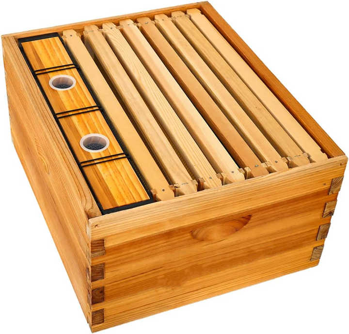 Automatic Feed Bee Beehive Frame Feeder - 6.5L Capacity