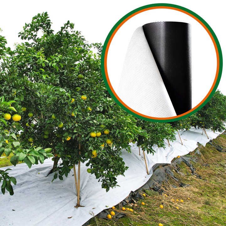 3m X 50m Weed Mat - Durable Garden Fabric for Weed Control