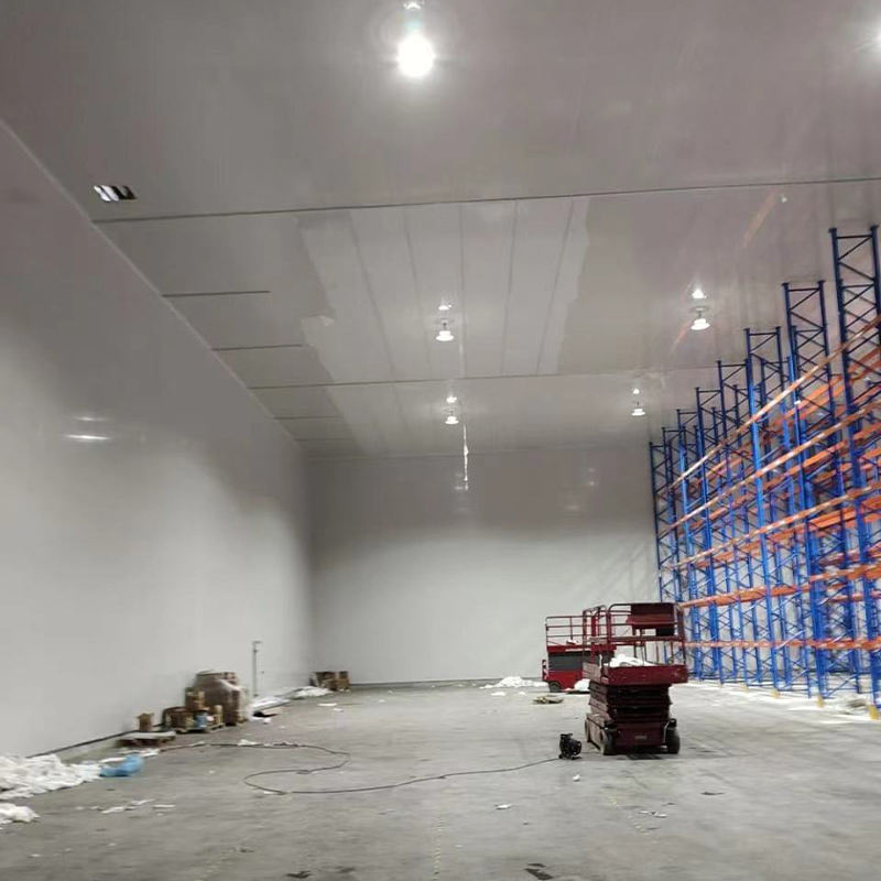 Automation Logistics Cold Room Storage with Intelligence System ...