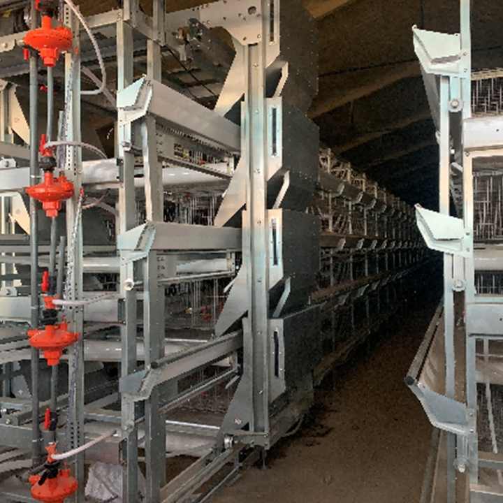 New Broiler Farm Automatic Cage | Hot Dip Galvanized High Productivity ...
