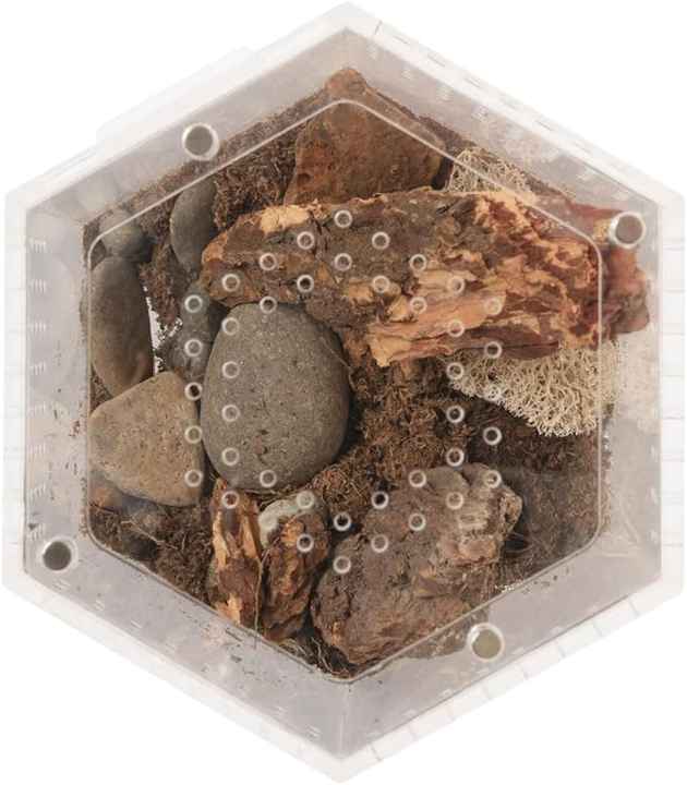 Polished Surface Acrylic Tarantula Enclosure T-Hex 5.79 x 5.39 x 5.39 ...