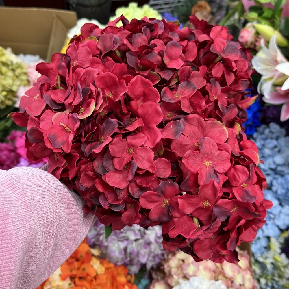 How to Choose Red Hydrangea Bulk for Landscaping and Floral Design