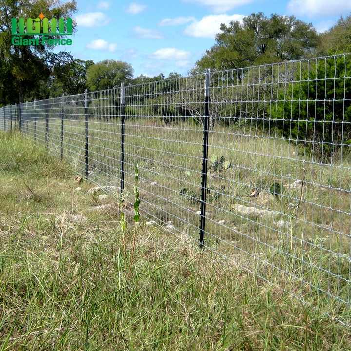 High Quality 12 Foot Galvanized Metal Fence Posts Easy Installation ...
