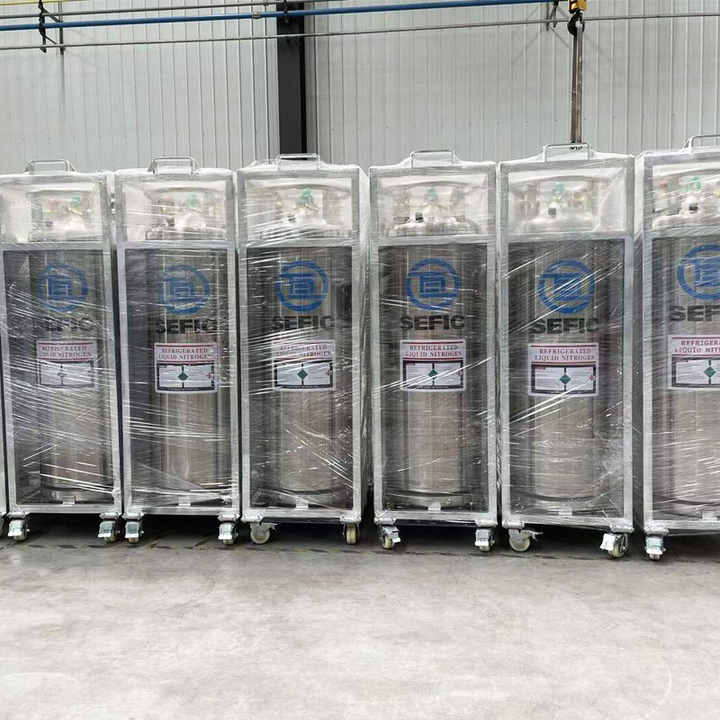 SEFIC 175L LOX Cryogenic Tank - Efficient Liquid Oxygen Storage