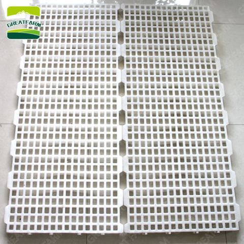 Plastic Flooring for Poultry Farms - Durable & Customizable