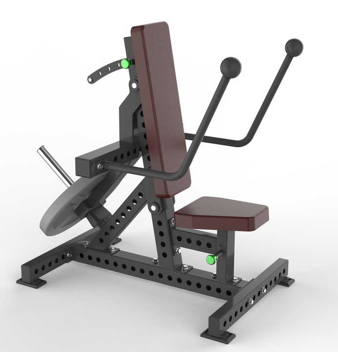 Gym Plate Loaded Machine Arms Exercise Seated Dips Reloaded Tricep ...