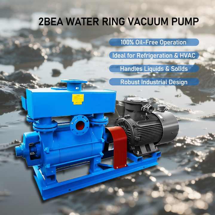 2BEA Series Chemical Vacuum Pump for Extruder Filter Machine Small Industrial Applications Oil ...