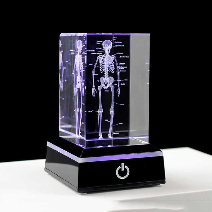 3D Laser Engraved Human Anatomical Skeleton Cube Model