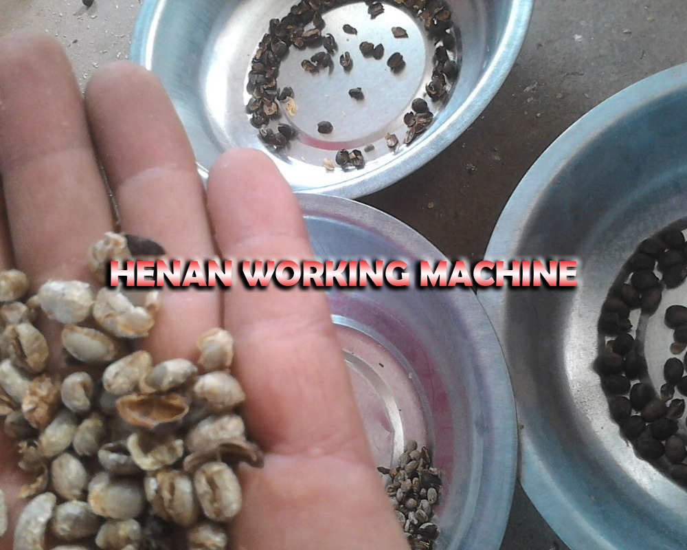 High Efficiency Coffee Bean Dehulling Machines for Dried Beans