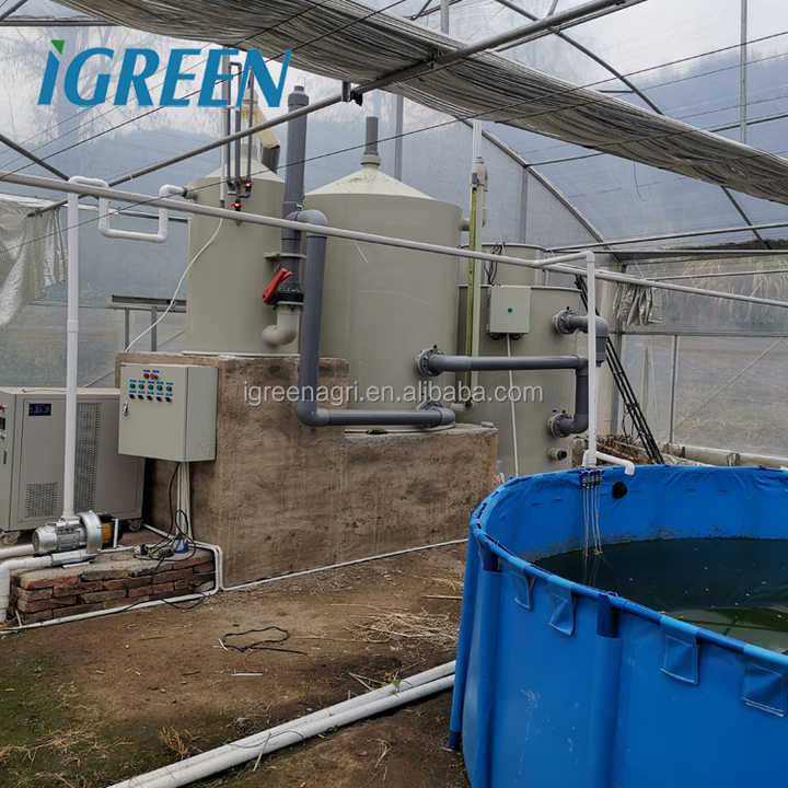 Indoor Ras Shrimp Farming Equipment - IGREEN IGRAS System