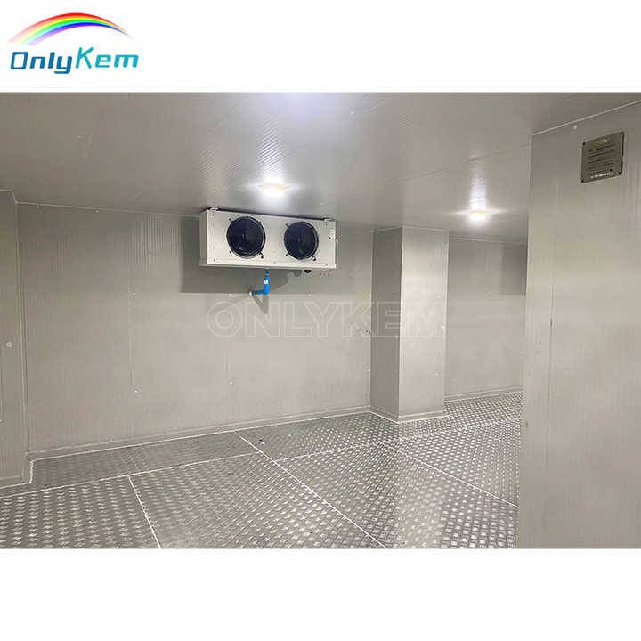 Frozen Cold Room Walk in Chiller Storage Refrigeration Freezer Room in ...