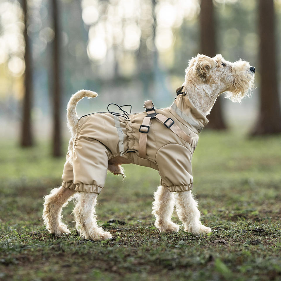 Luxury Dog Clothes - Waterproof Warm Jumpsuit & Accessories
