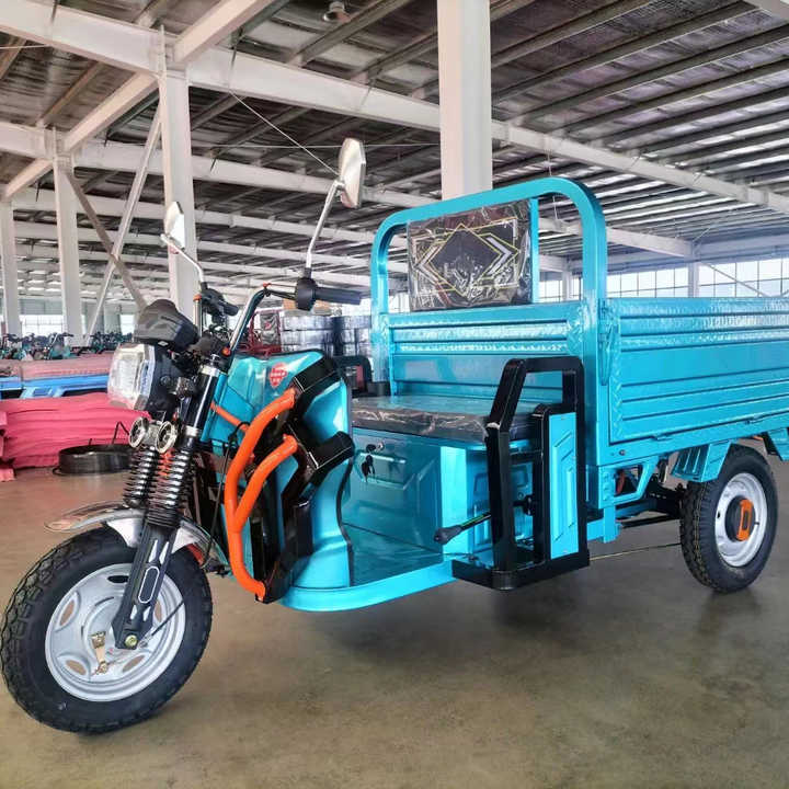 2024 Popular Three Wheels Electric Tricycles Cargo With Strong Power ...