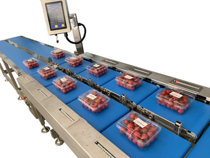 10-Head Multi-Station Conveyor Scale Check Weigher 0.1g Accuracy for ...