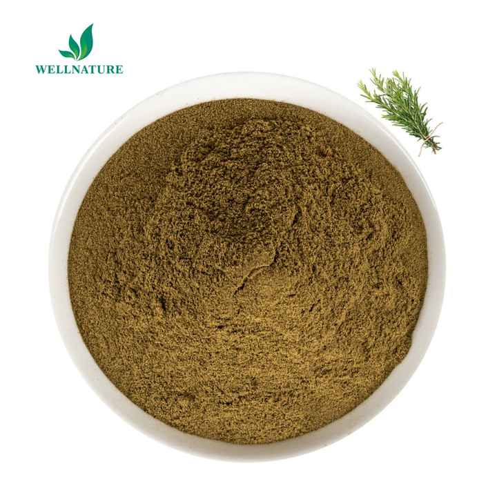 Wholesale 100% Natural Rosemary Leaf Extract Powder Carnosic Acid ...