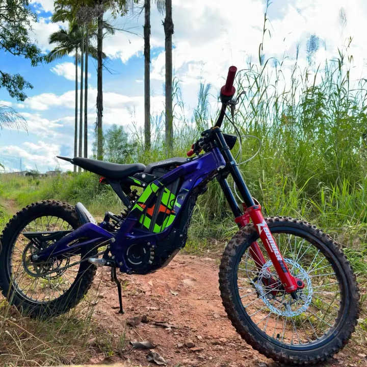 2025 Latest Surron Light Bee X Off Road Ebike Sur Ron LBX 8000W Talaria ...