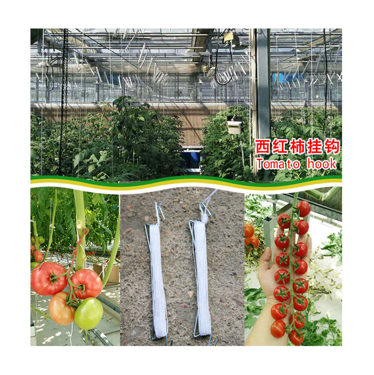 How to Choose the Best Plant Hooks for Indoor and Outdoor Use