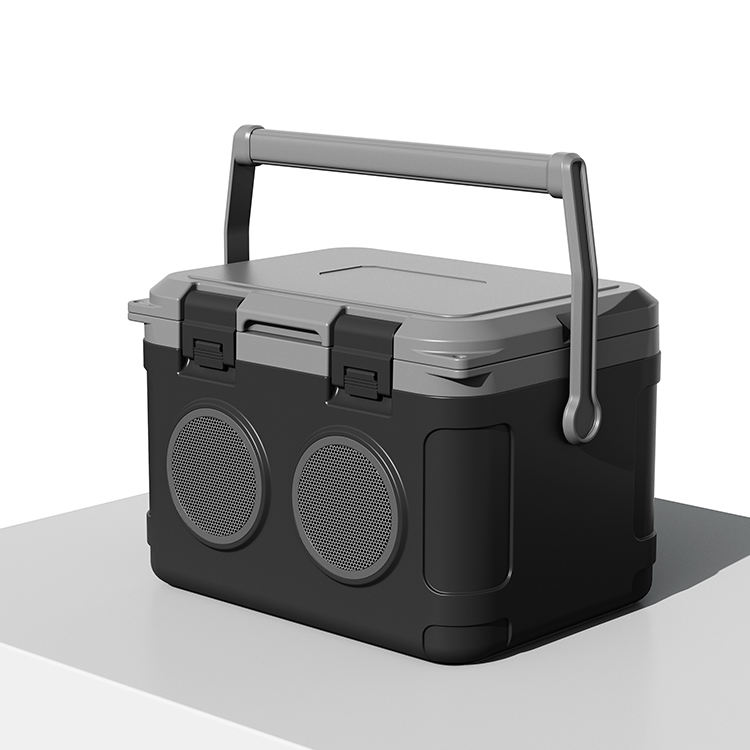 How to Choose the Best Ice Cooler Box with Speaker for Outdoor Adventures