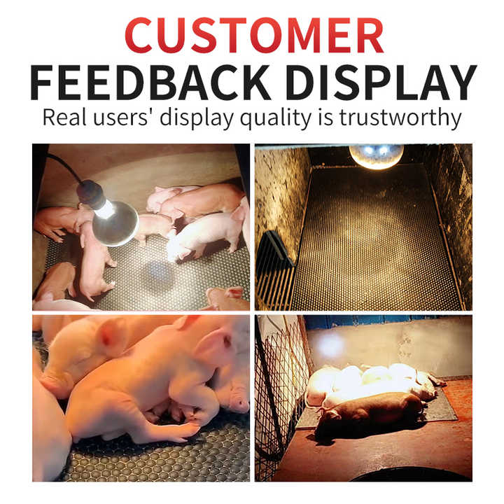 Flexible Silicone Rubber Piglet Electric Heating Plate Poultry ...