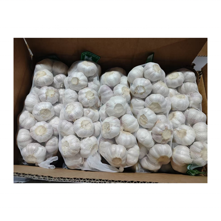 Fresh Garlic New Crop Normal White and Pure White Supply From China ...