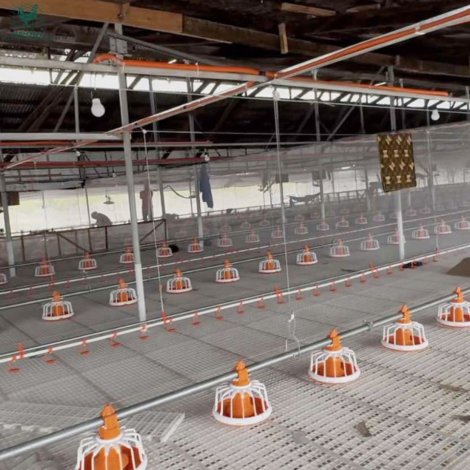 Automatic Chicken Farm Floor Ground Feeding System Poultry Chicken Pan ...
