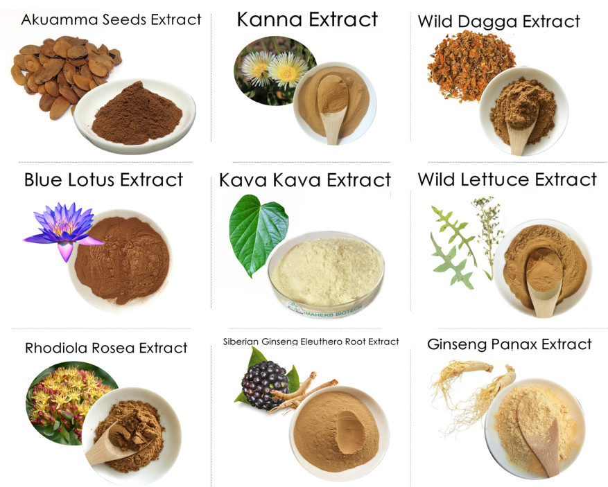 Imaheb Natural Herb Extract Uncaria Tomentosa Extract Cat's Claw ...